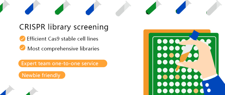 Service > CRISPR Screening library_CRISPR gene editing|CRISPR library ...
