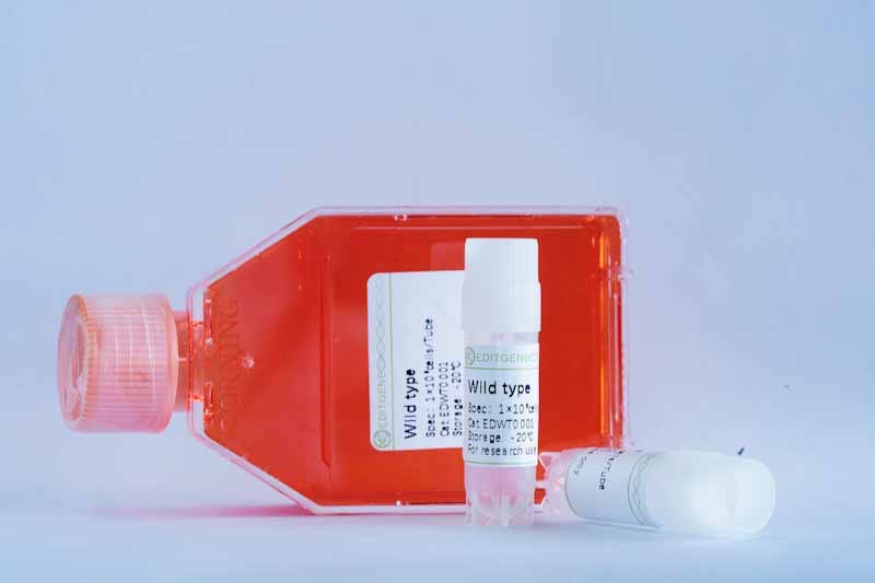 ID8 (Mouse Ovarian Epithelial Cancer Cell Line)_CRISPR gene editing ...